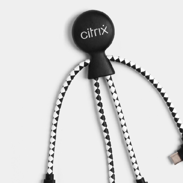 Citrix - Tech Packs - Portfolio - MoJo Promotions