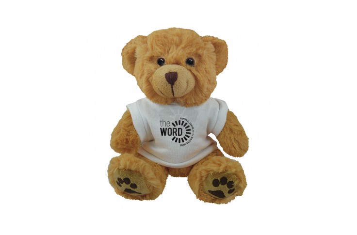 Promotional 10" Dexter Bear and T Shirt, Personalised by MoJo Promotions