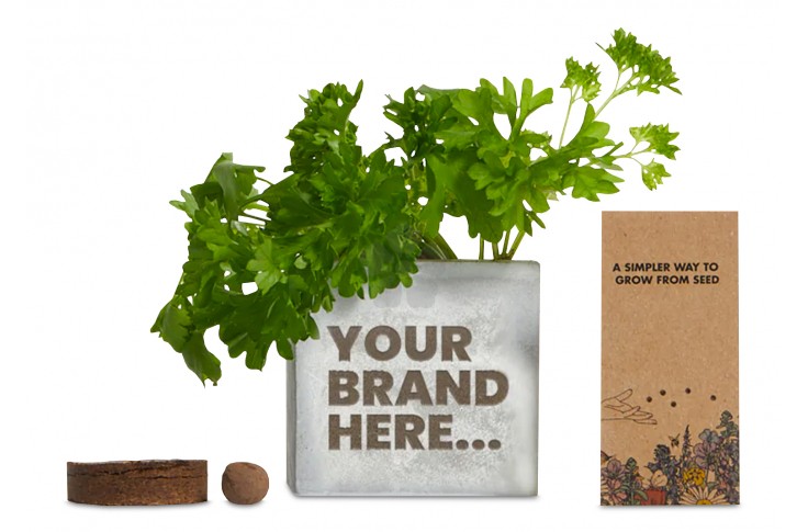 Promotional Clay Pot - Grow Kit, Personalised by MoJo Promotions