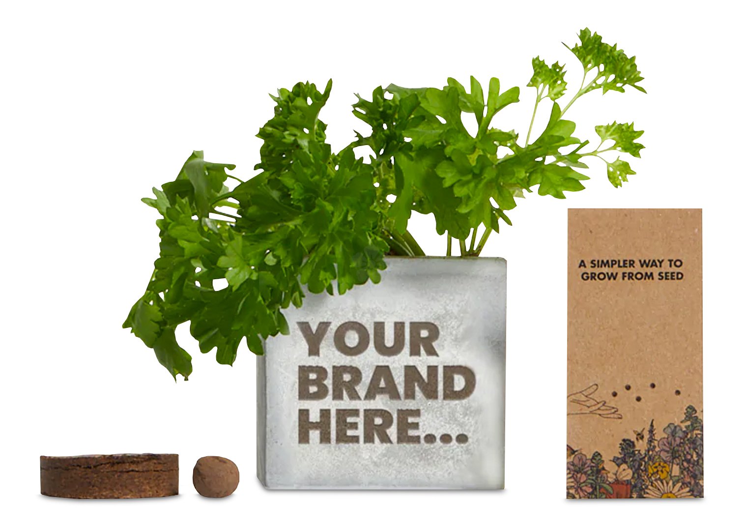 Promotional Clay Pot - Grow Kit, Personalised by MoJo Promotions