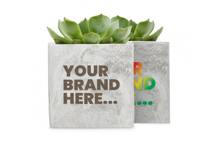 Promotional Clay Pot Garden, Personalised by MoJo Promotions