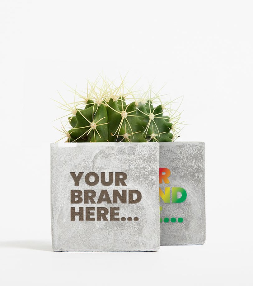 Promotional Clay Pot Garden, Personalised by MoJo Promotions