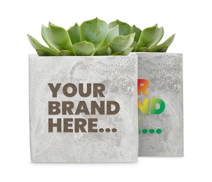 Promotional Clay Pot Garden, Personalised by MoJo Promotions