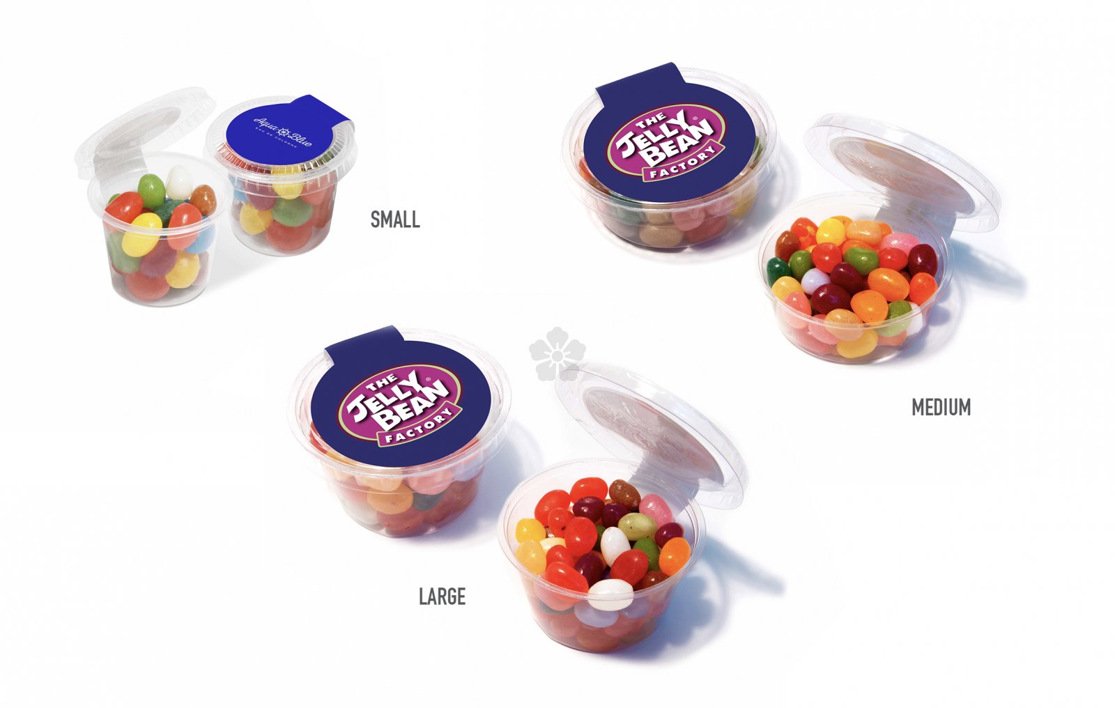 Promotional Sweets in Eco Pot, Personalised by MoJo Promotions