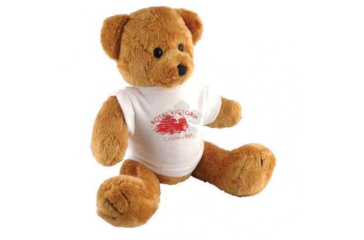 Promotional 10" Robbie Bear and T Shirt, Personalised by MoJo Promotions