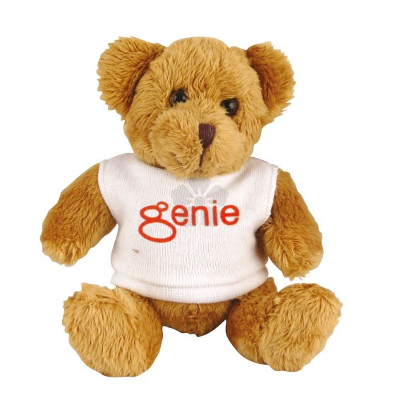 Promotional 5" Robbie Bear and T Shirt, Personalised by MoJo Promotions