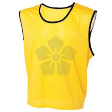 Promotional Training Bib, Personalised by MoJo Promotions