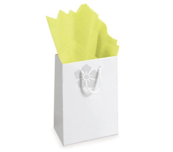 Promotional Unbranded Tissue Paper, Personalised by MoJo Promotions