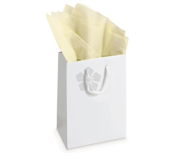 Promotional Unbranded Tissue Paper, Personalised by MoJo Promotions