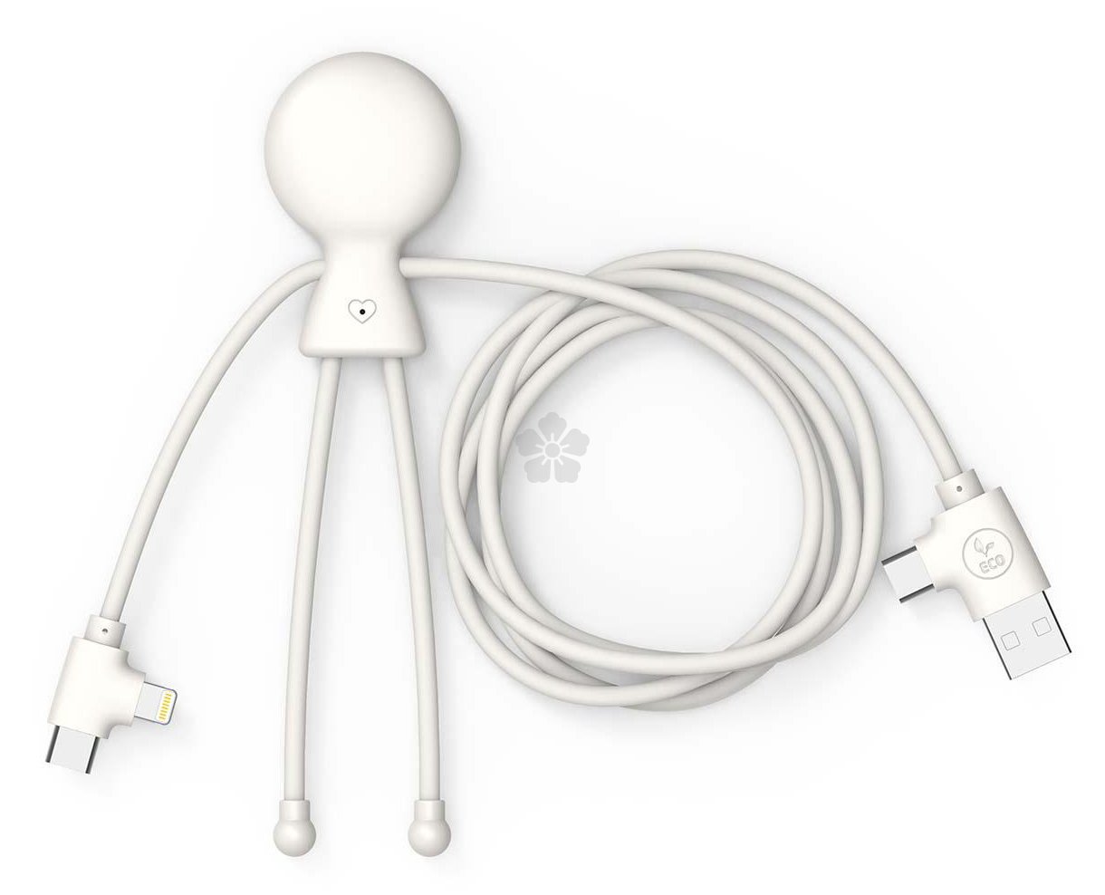 Promotional Xoopar Mr Bio XL Fast Charging Cable, Personalised by MoJo ...